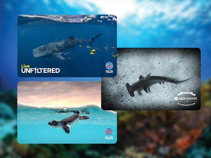 Diver Membership | PADI